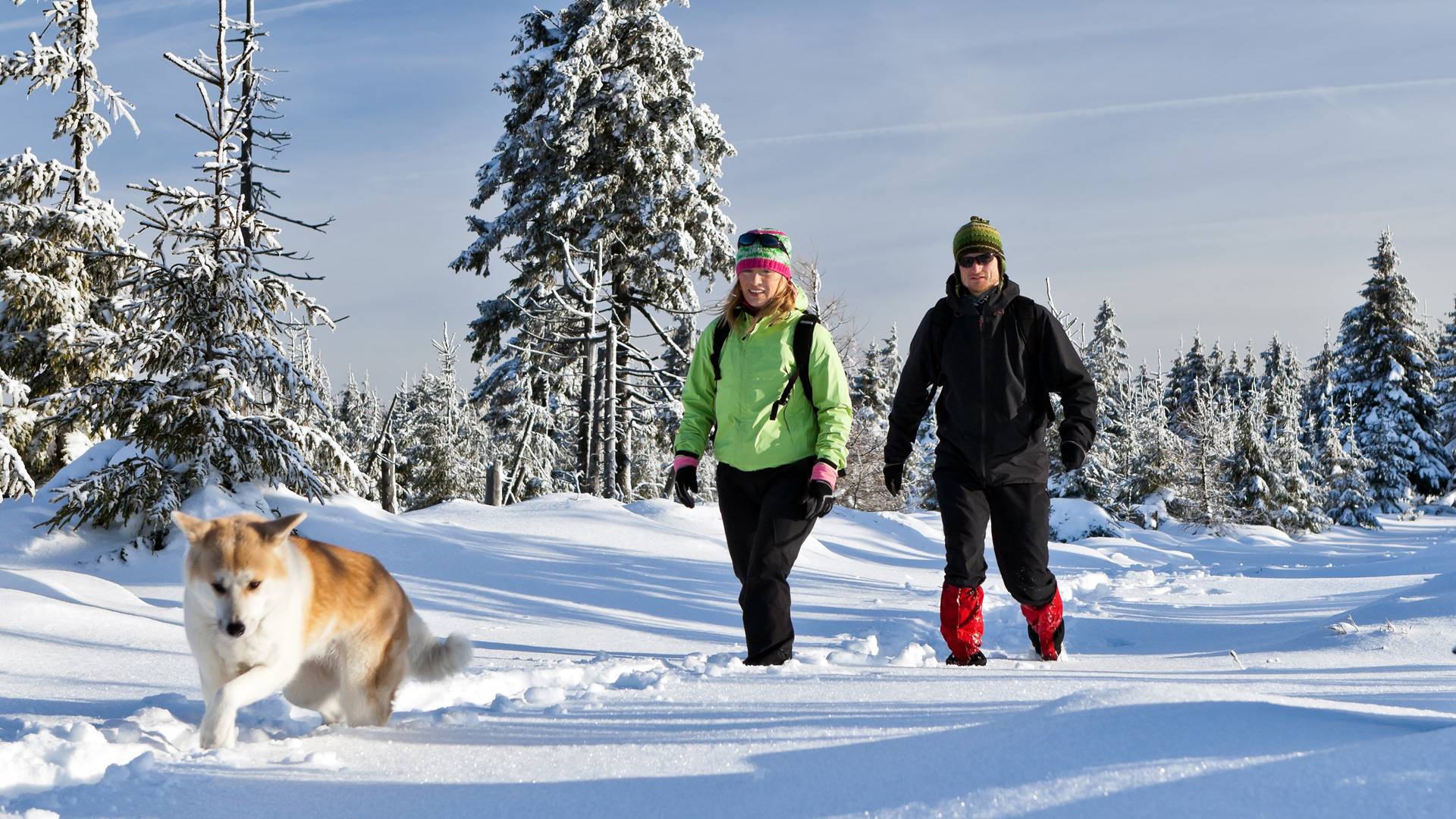 Die 5 schönsten Winterwanderungen | Hotel Sauerländer Hof Hallenberg ...